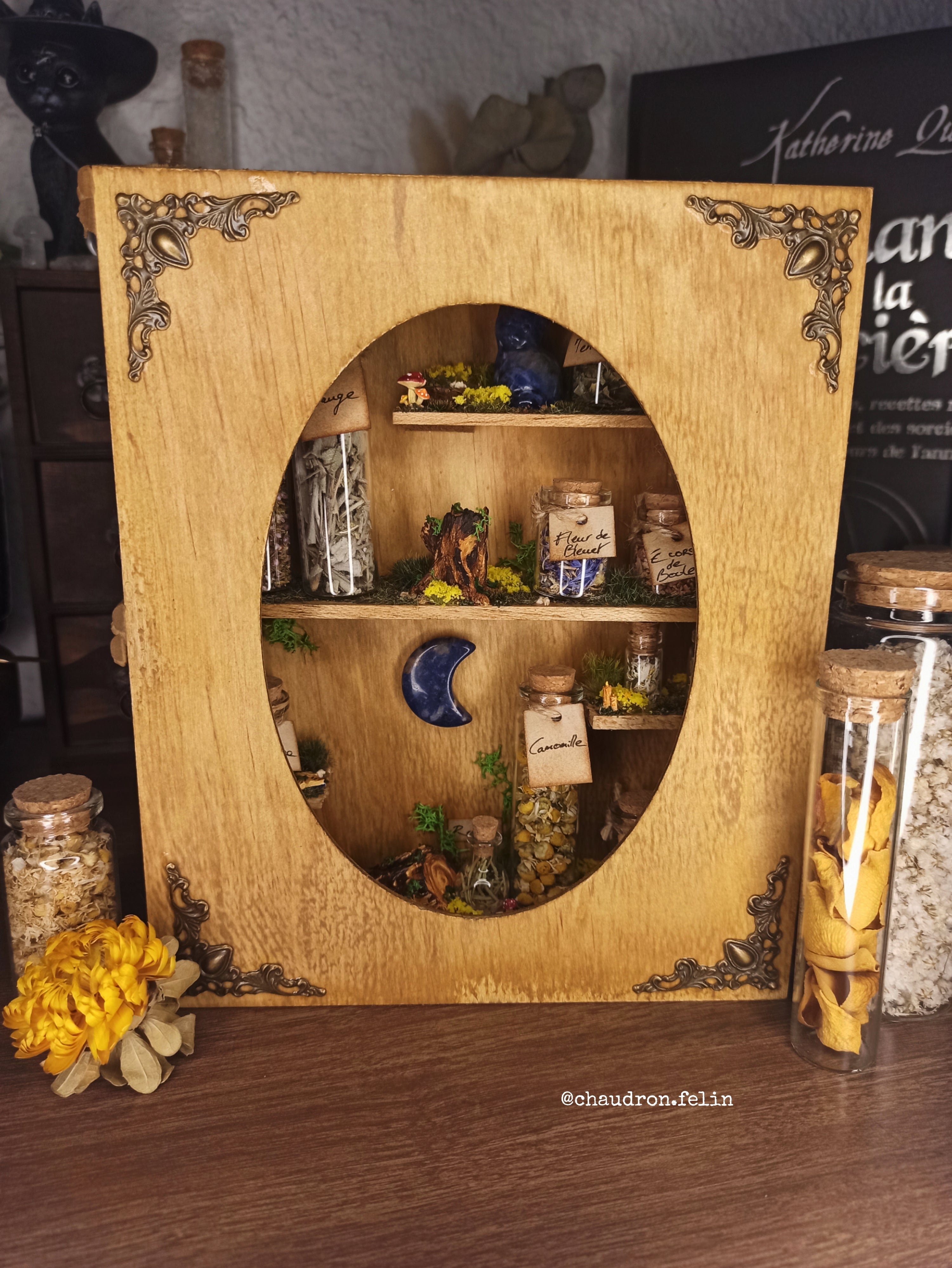 Antique et Sodalite - Bibliothèque de Sorcière – Chaudron Félin